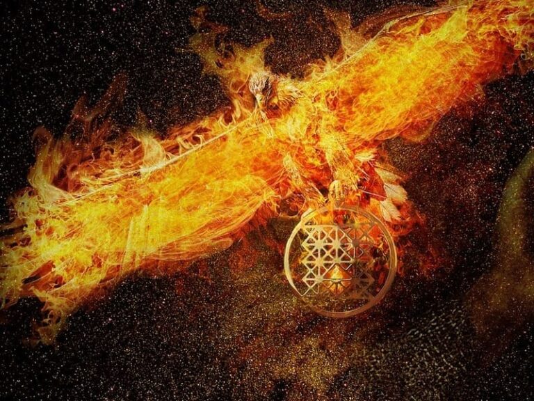 Beautiful Birds That Represent Freedom ( with Pictures)